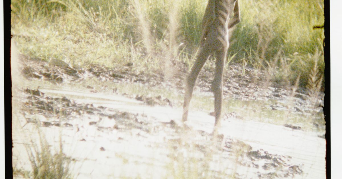 Peter Hendricks - Noorderlicht