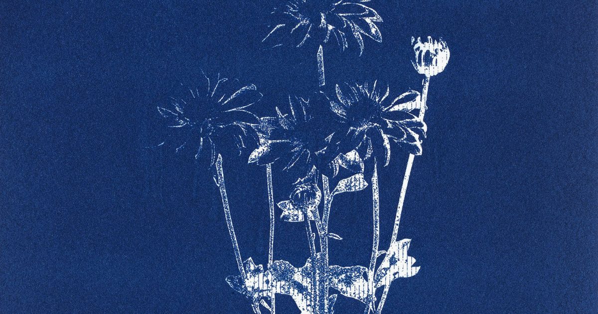 Louis Porter - Noorderlicht